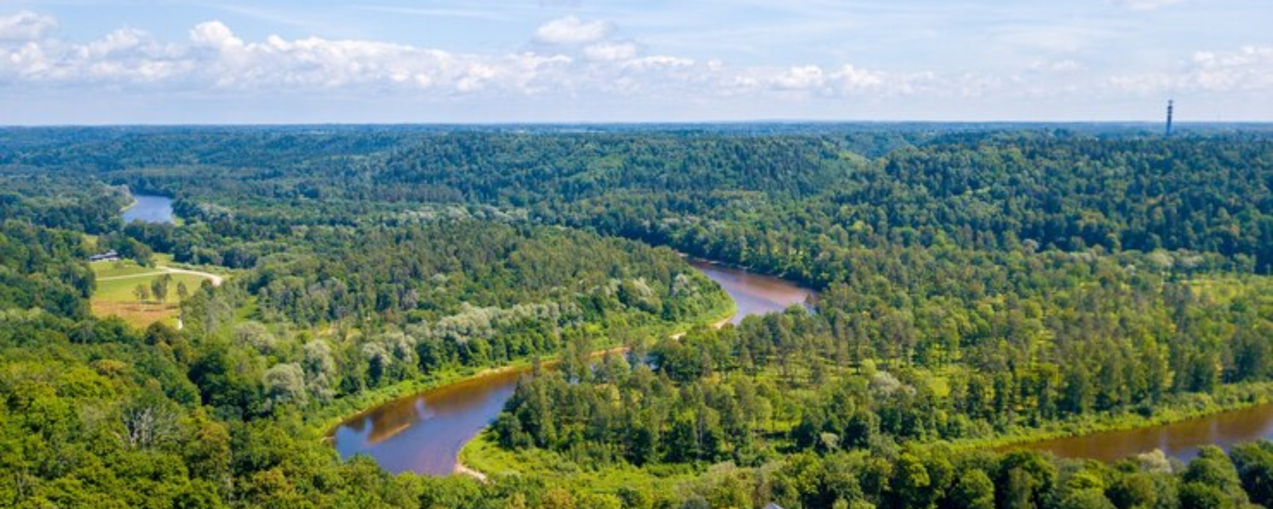 Enhancing Urban Nature Reserve Management and Monitoring with Drones ...