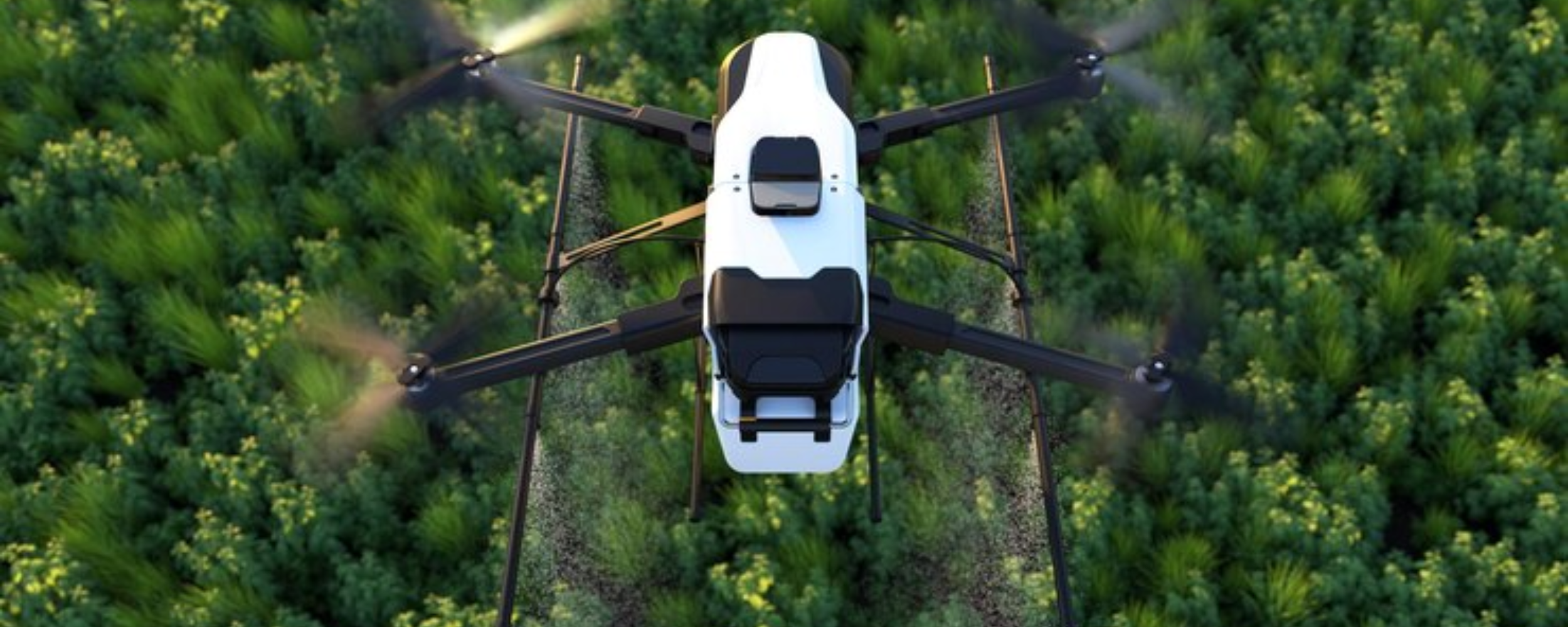 The Best Drones for Environmental and Urban Research – Dronesdeli