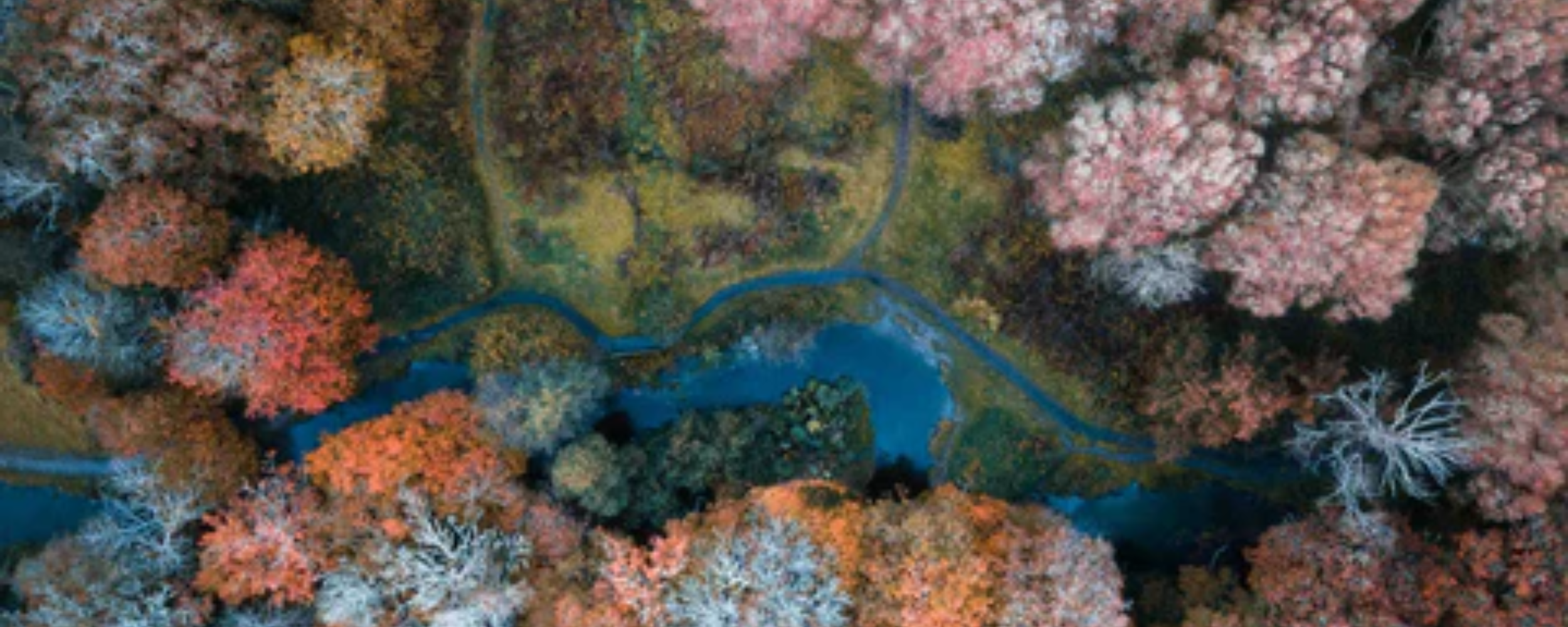 Drone Photography: Tips and Tricks for Stunning Aerial Shots ...