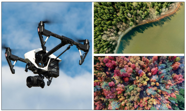 The Role of Drones in Biodiversity Conservation – Dronesdeli