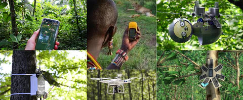 Advancements in Drone-Based Panda Tracking – Dronesdeli