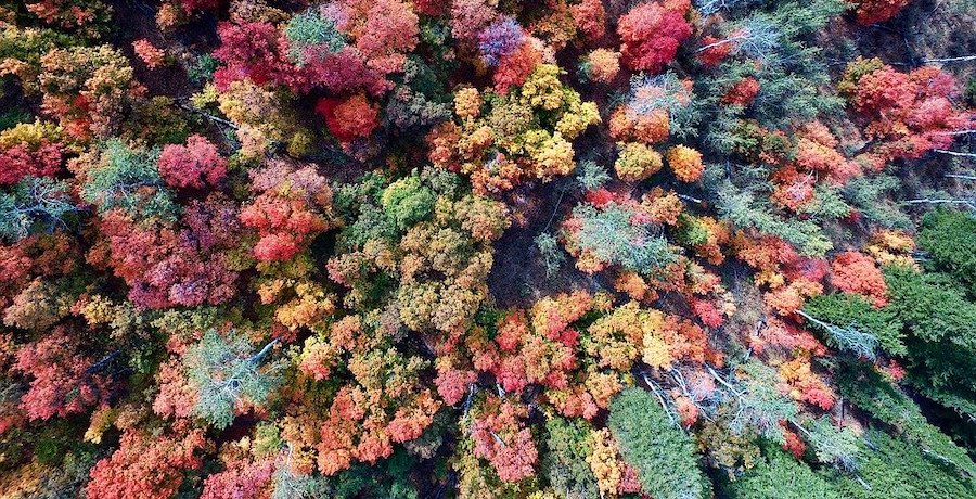 The Benefits of Drone Photography for National Parks – Dronesdeli