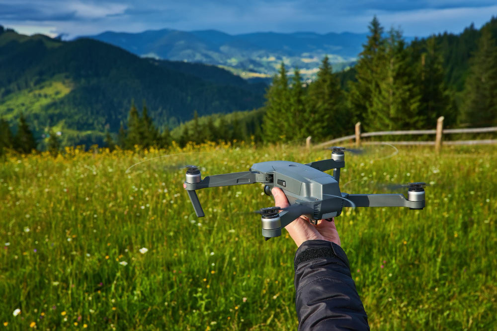 The Role of Drones in Environmental Conservation – Dronesdeli