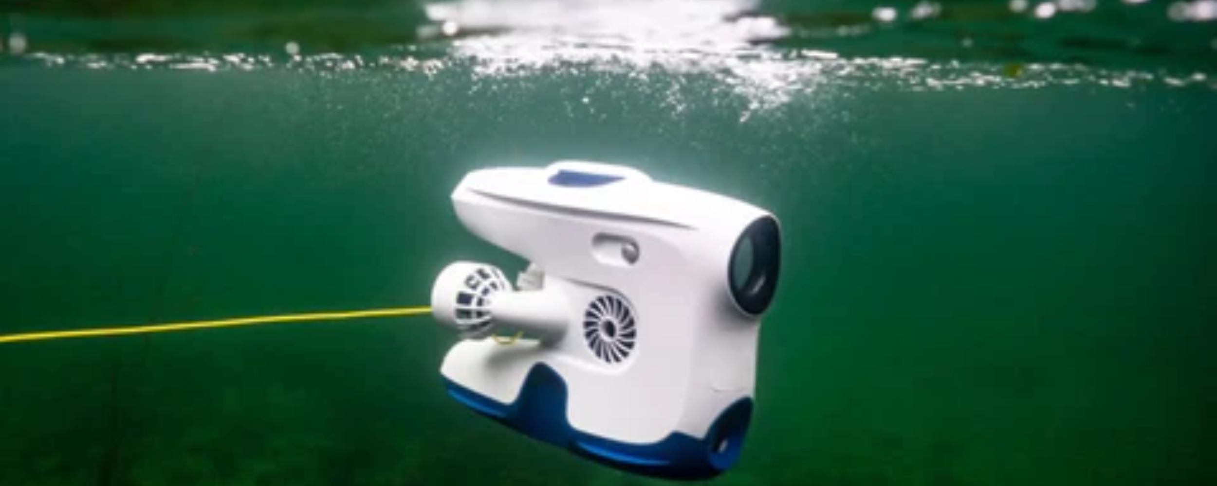 The Best Drones for Monitoring Oceanic Wildlife – Dronesdeli